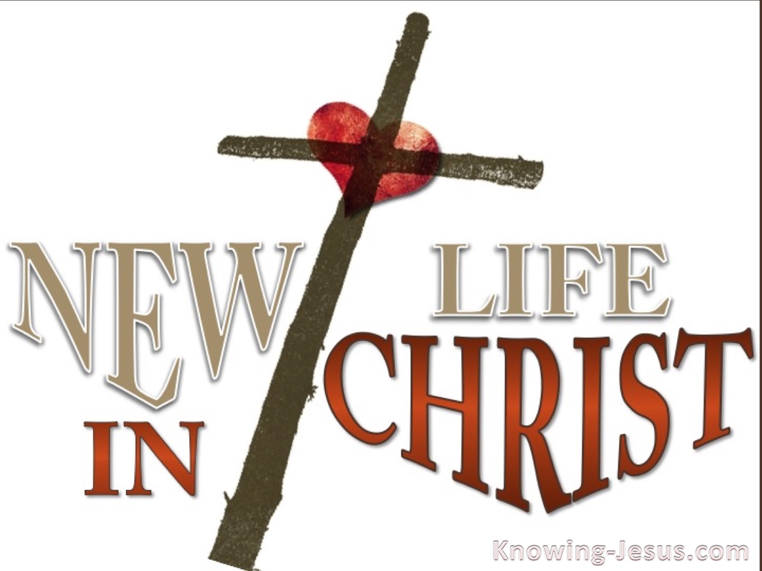 New Life In Christ