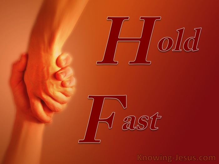 Hold Fast hold-fast